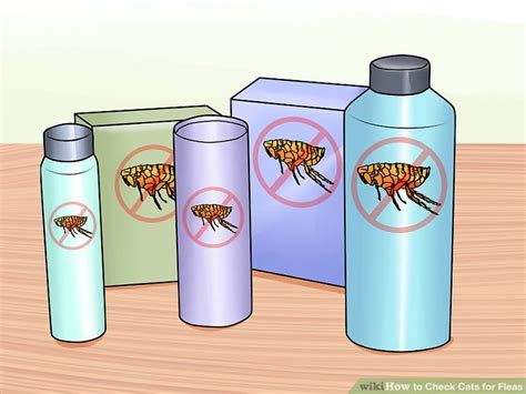 How To Check Cats For Fleas 13 Steps With Pictures WikiHow