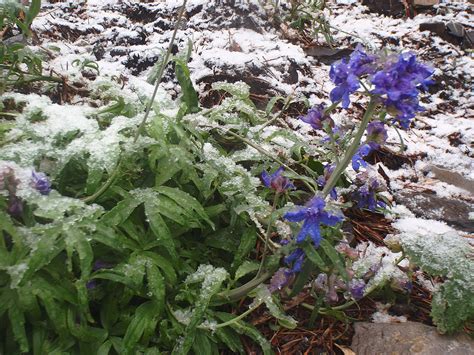 Jill Outside Lima Peak