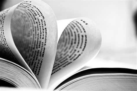 무료 이미지 도서 독서 검정색과 흰색 화이트 사진술 선 단색화 종이 원 교육 닫다 상표 연구 취미 흑백 사진 책 마음 2300x1533
