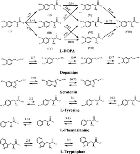 Chemical Structure Of Catecholamines Dopa Dopamine Serotonin And Aas