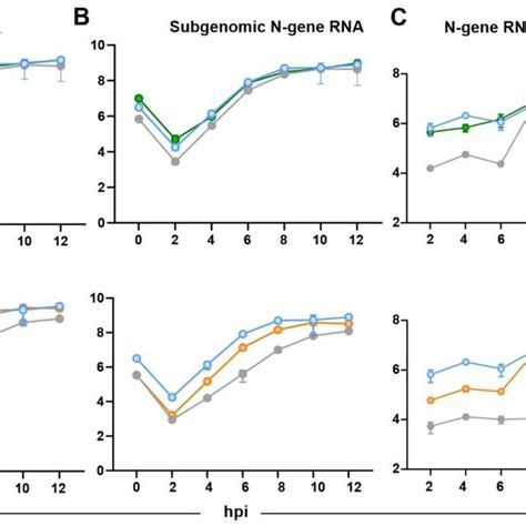 Time Course Analysis Of Viral Rna Levels In A549 At Cells A Total