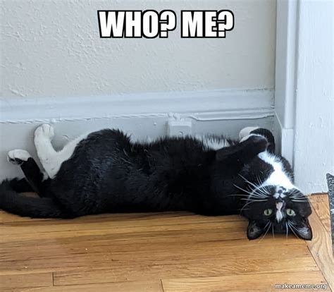 Who Me Meme Generator