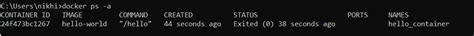 Getting Docker Container ID From Container Name GeeksforGeeks