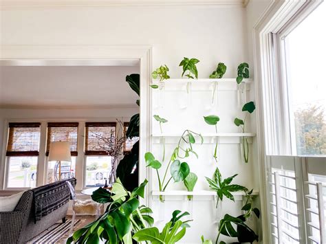 How To Make A Minimal Propagation Wall Most Lovely Things