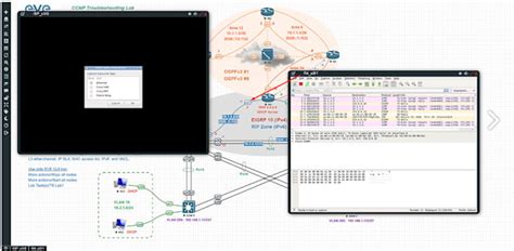 Configure And Troubleshoot Cisco Juniper And Huawei Networks For You