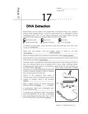 A PreLab DNA Extraction Pdf PreLab Name Team DNA Extraction Before DNA Can