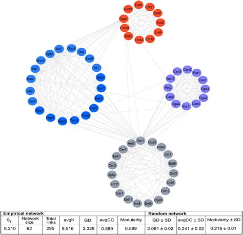 Frontiers Metabarcoding Of Mycetangia From The Dendroctonus Frontalis Species Complex