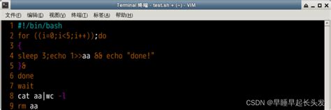 【linux实验7】linux Shell实现模拟多进程并发执行实验班报告shell脚本设计多进程探测目标存活实训步骤 Csdn博客