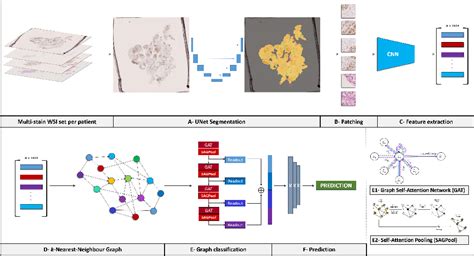 Figure 2 From Instance Learning Pipeline For Histopathology Whole Slide