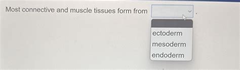 Solved Most Connective And Muscle Tissues Form From Ecto
