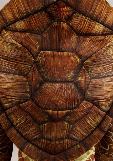 Mens Plus Size Disney And Pixar Finding Nemo Crush Costume Disney Costumes