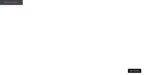 Primary Button Review Images Example Codesandbox