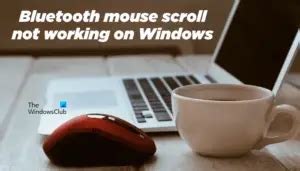 Bluetooth Mouse Scroll Not Working On Windows