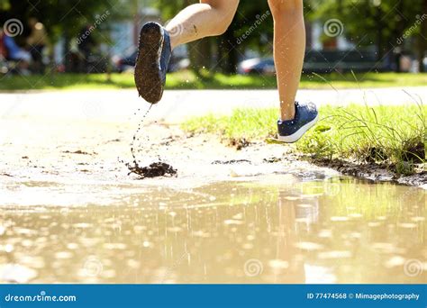 Mud Puddle Visuals Shake Wmnaa