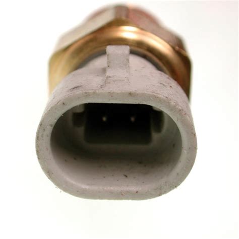 Delphi Air Charge Temperature Sensor TS