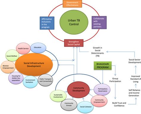 Schematic Framework For Urban Tuberculosis Control Download