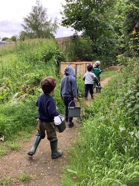 Compost Collective Inspirations Nurseries And Forest Schools