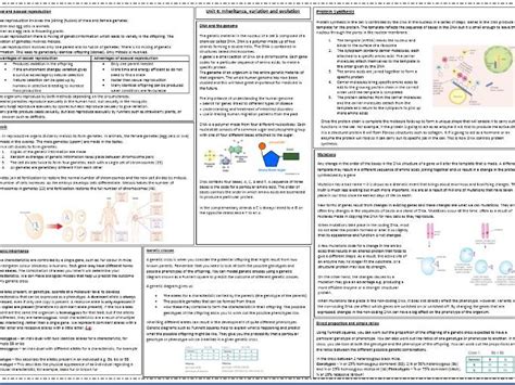 Unit 6 Inheritance Variation And Evolution Summary For Separate