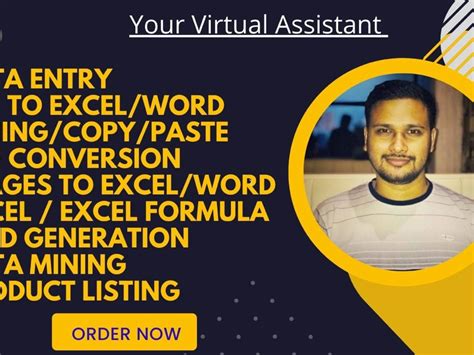 data entry copy paste web scraping and excel data entry pdf word