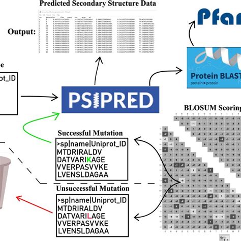 Schematic Representation Of The Pepc Data Pipeline First The Wildtype Download Scientific