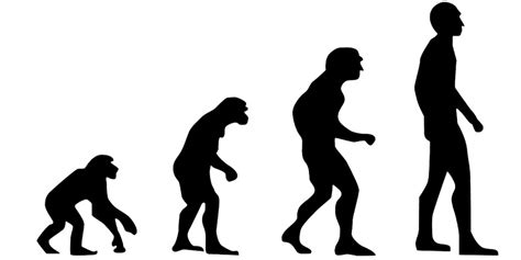‘600만불의 사나이는 인간의 진화일까 미래 미래and과학 뉴스 한겨레