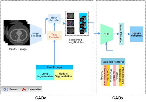 Concept Based Explainable Malignancy Scoring On Pulmonary Nodules In Ct