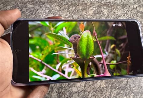 Oneplus Nord Ce Lite New Nord Member Xiaomitime