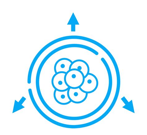 Stem Cell Services Trenzyme Gmbh