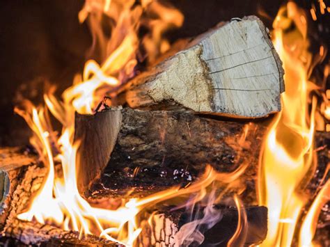 People In Poland Are Burning Garbage And Romania Is Capping Firewood