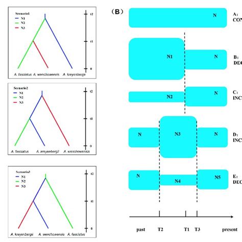 A Schematic Representation Of Three Evolutionary Scenarios For A Download Scientific Diagram