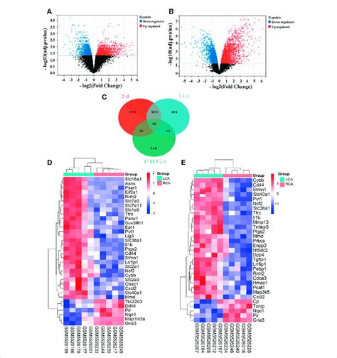 Differentially Expressed Ferroptosis Related Genes Frgs In Early And Download Scientific