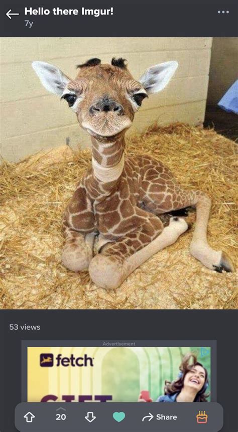 Hello There Imgur Album On Imgur