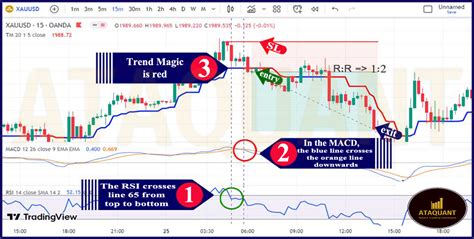 An Easy To Follow RSI Trading Strategy AtaQuant Advanced Expert And Indicator Programming