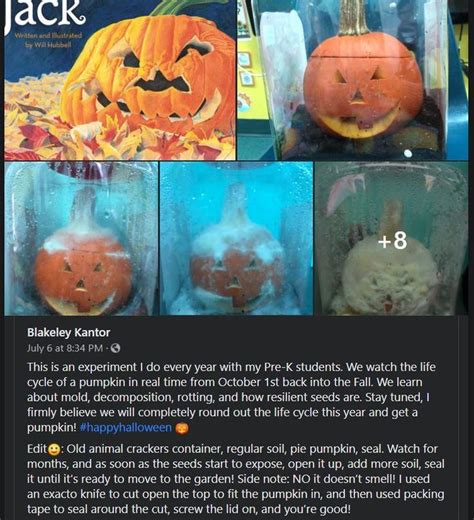 Pumpkin Life Cycle Experiment Artofit