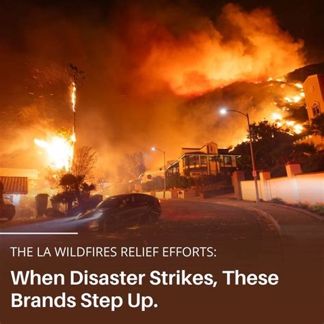 Yash Jaiswal On Linkedin Digitalmarketer Brandtrust Business Lawildfires Marketing