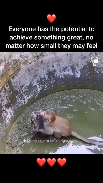 Pranav Rayaprolu Posted On Linkedin