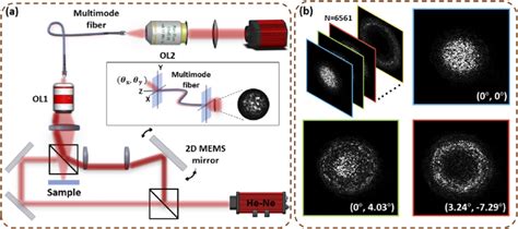 A Experimental Setup For Measuring The Transmission Matrix Of The Download Scientific Diagram