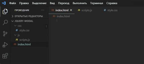 Как сделать модальное окно на сайте используя html css и js