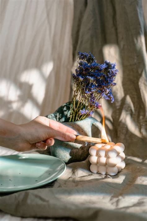 고요한 균형 꽃꽂이 꽃무늬 꽃병 단순함 달래는 따뜻한 빛 라벤더 라이프스타일 명상 미니멀리스트 미적 벽지