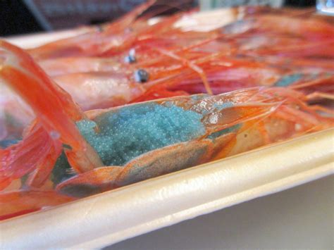 居酒屋かがやき，子持ちの甘えびも駅ナカのスーパーに登場 北陸新幹線で行く，はじめての金沢