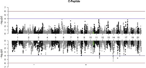 Manhattan Plot Of Admixture Mapping Of C Peptide Protein Mirror