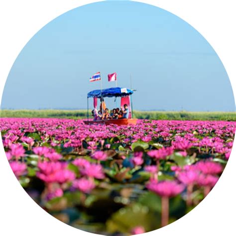 ทัวร์อุดรธานี Travel Planet บริการทัวร์เกาหลี เที่ยวฮ่องกง เที่ยวกับทัวร์ยุโรป ไปเที่ยวแบบชิวๆ