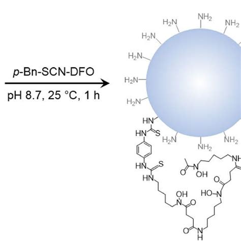 A The Structure Of Polystyrene Ps B The Modification Of An Download Scientific Diagram
