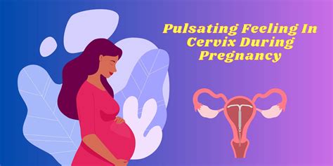 Pulsating Feeling In Cervix During Pregnancy Is It A Sign Of Labor