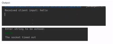 solved 1 debug following echo server and client program