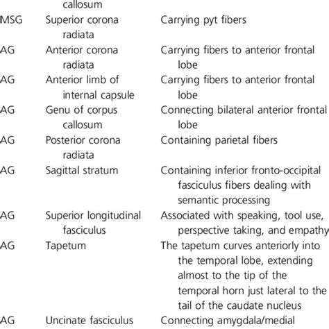 Fiber Classification According To Function In Literature Download