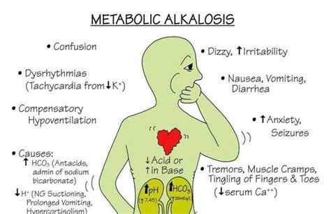 Picmonic Memorization Booklet For Nursing School Etsy Nursing School Survival Nursing