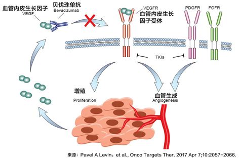 半喜半忧：特罗凯联合贝伐单抗一线治疗肺癌仅能改善无进展生存期 知乎