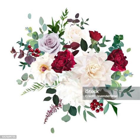 클래식 고급스러운 레드와 모브 퍼플 로즈 화이트 모란 베이지 달리아 꽃 식물에 대한 스톡 벡터 아트 및 기타 이미지 꽃 식물 베이지 자주색 Istock