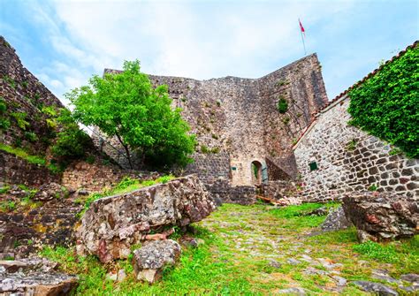 Žene U Srpskoj Diplomatiji Jelena Lazarević Udata Balšić Дипос